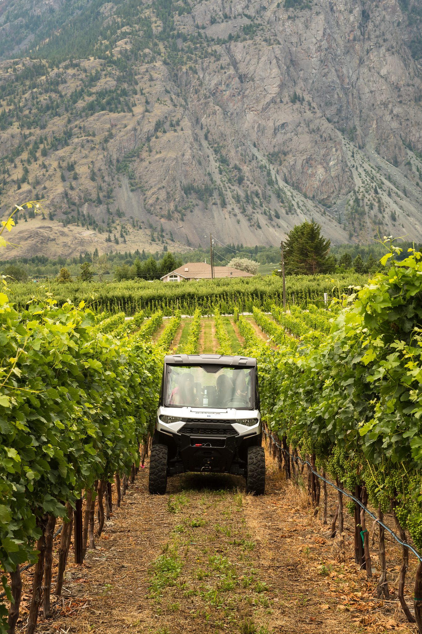 Working Groups | BC Wine Grape Industry Task Force